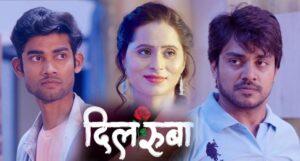 Dilruba – (Hindi Web Series) – All Seasons, Episodes, And Cast